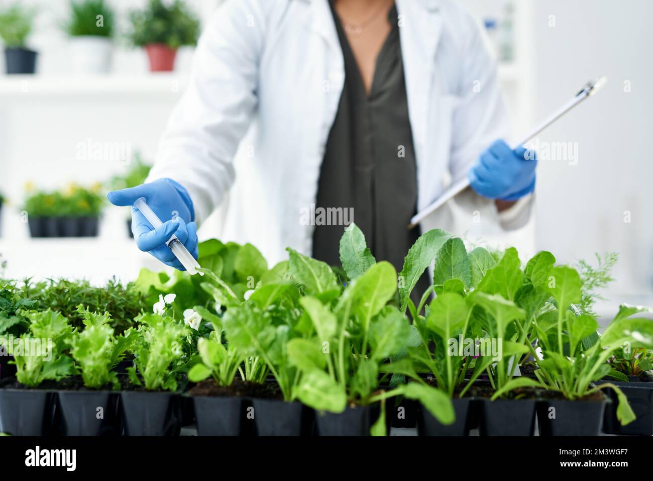Working on a new and improved fertilizer. a female scientist ...