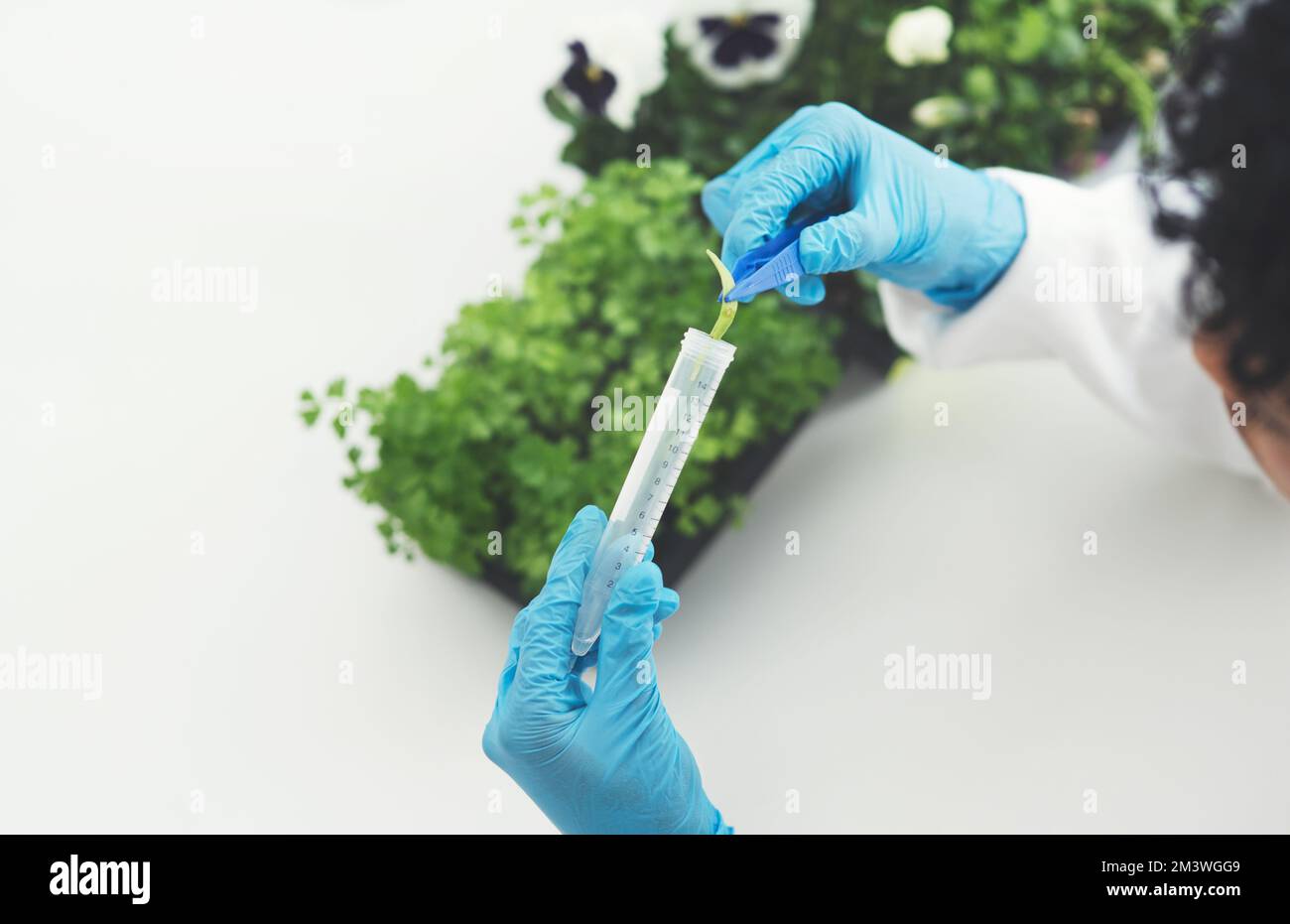 This will be enough for the experiment. High angle shot of an ...