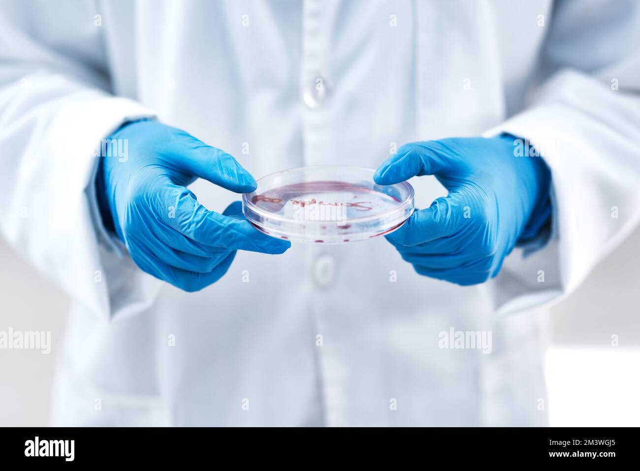 World inside petri dish hi-res stock photography and images - Alamy