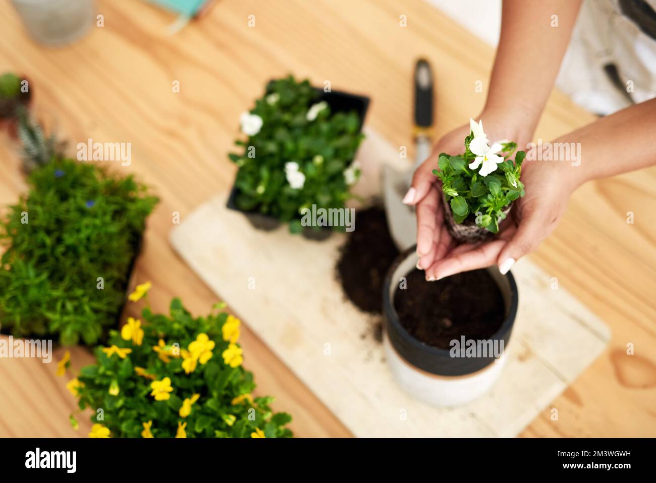 Handle with care. High angle shot of an unrecognizable young female ...