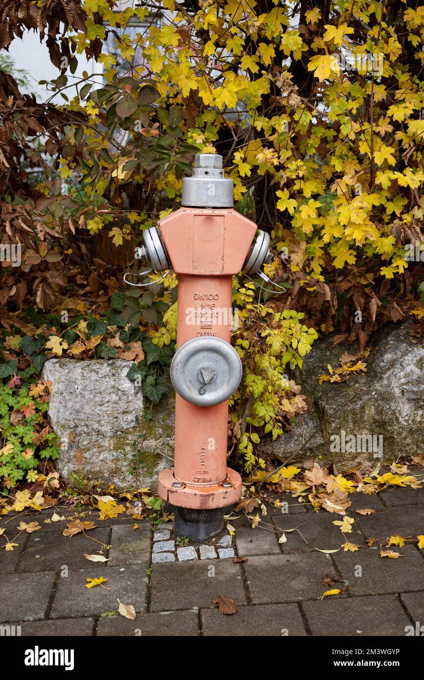 The vertical view of a vintage fire hydrant before the plants on an ...