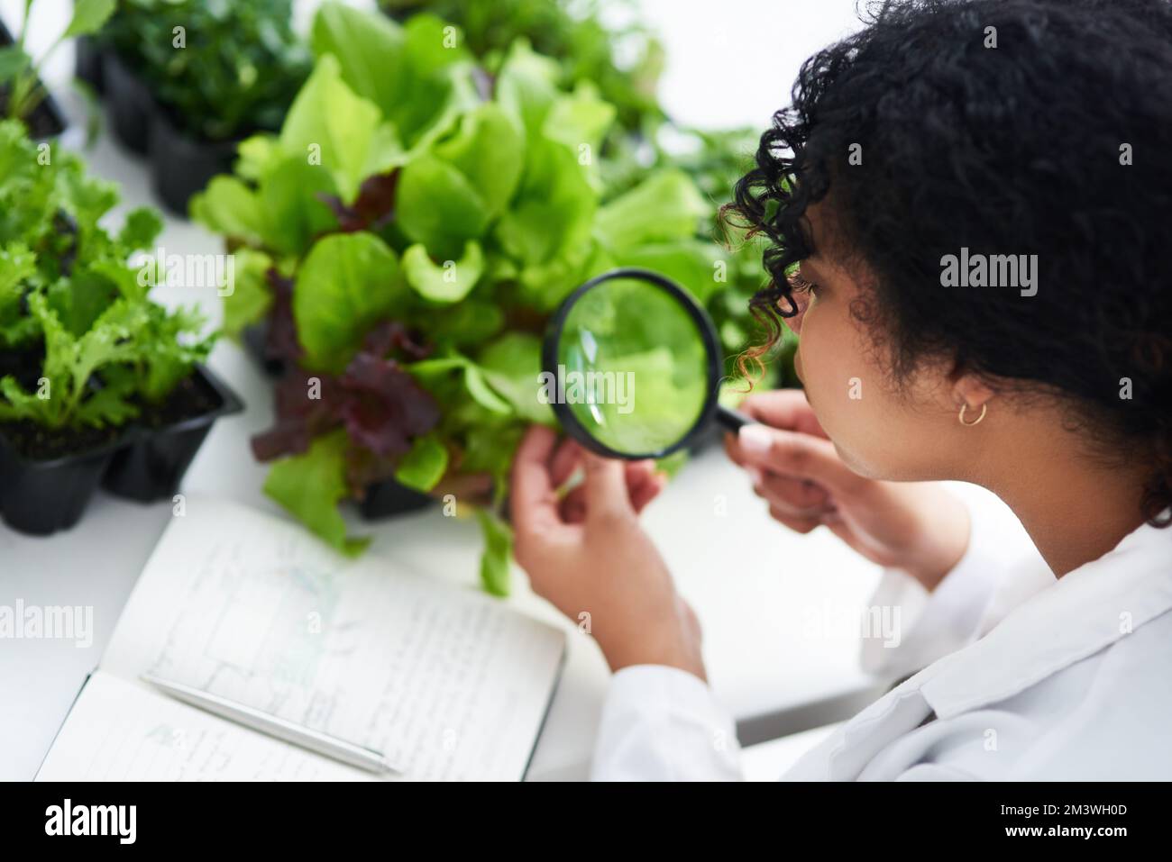 Its a profession for nature lovers. a female scientist looking at a ...