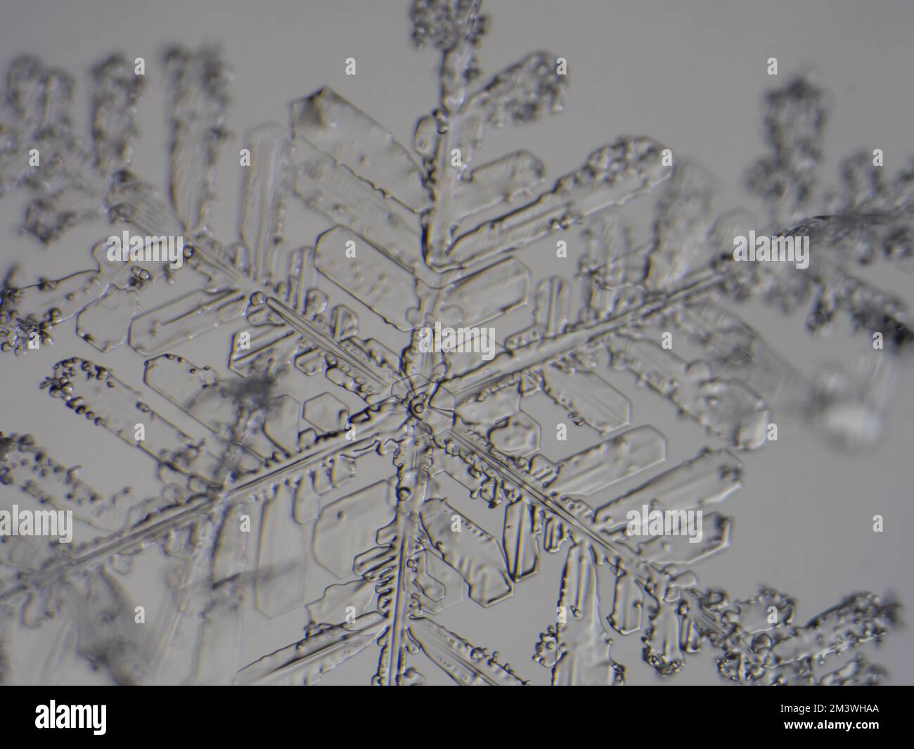 Real snowflake close up hi-res stock photography and images - Alamy