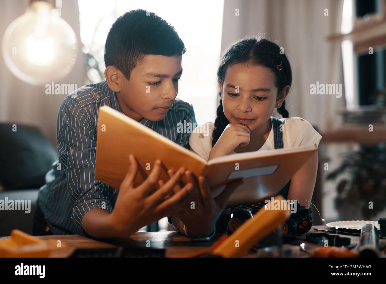 This book has all the info we need. two adorable young siblings reading ...