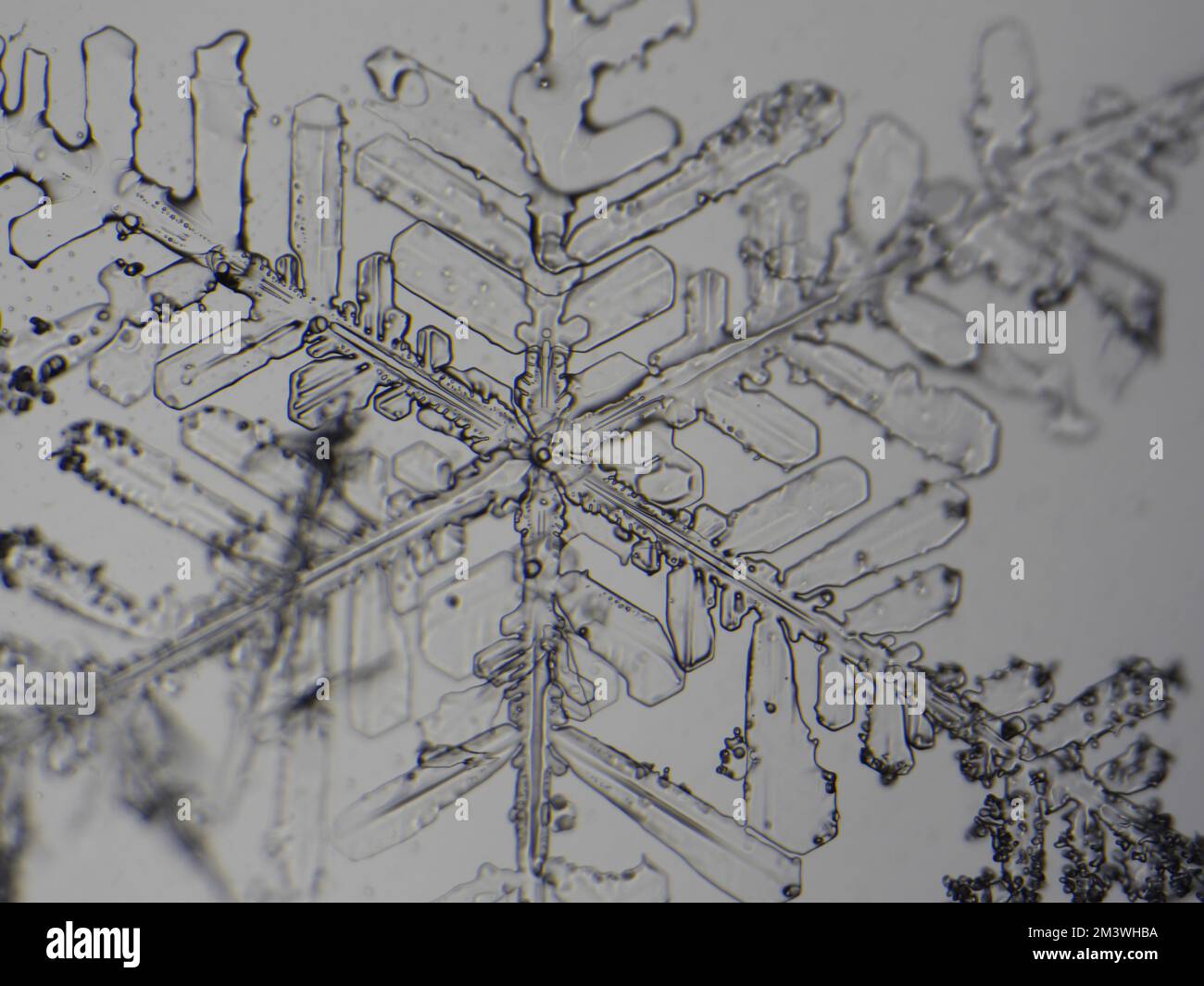 Extreme close up snowflake hi-res stock photography and images - Alamy