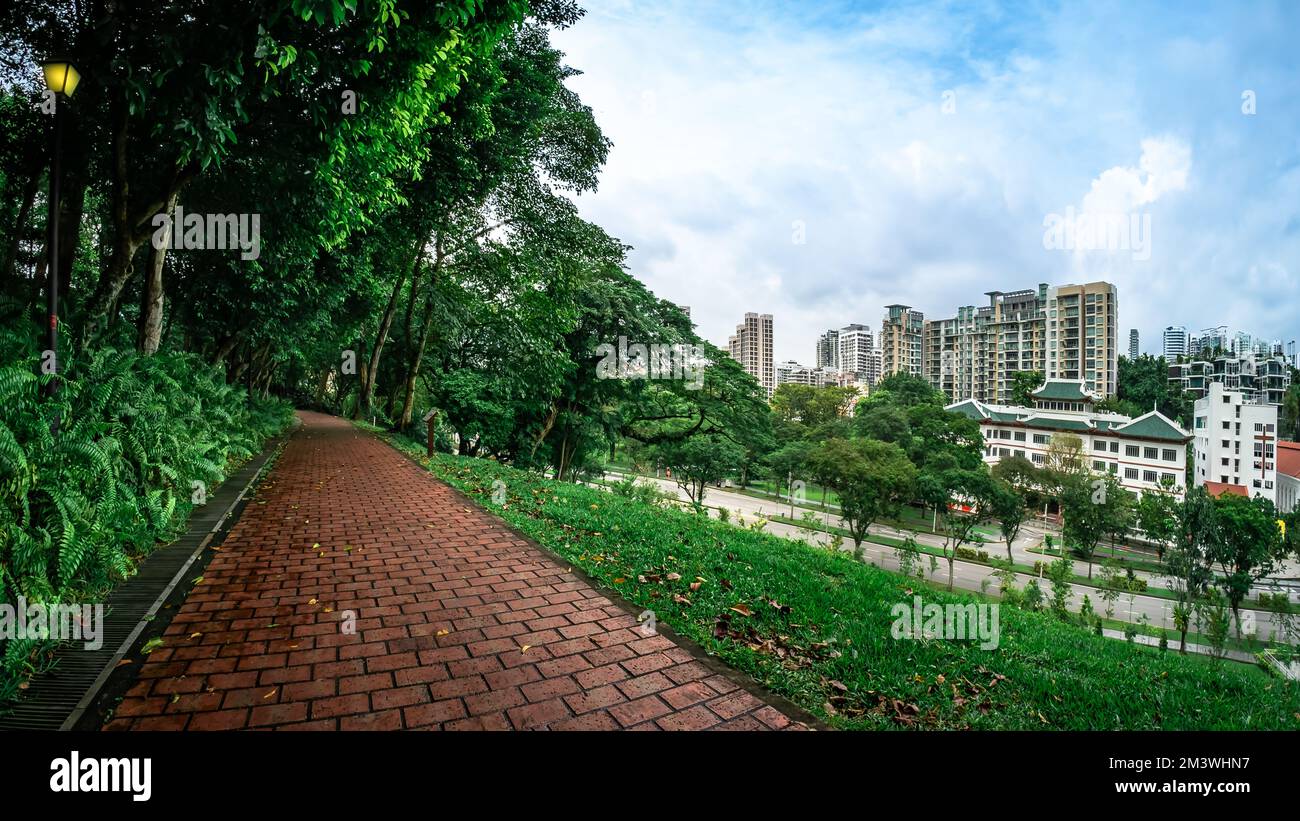 Scenic view of high rise building in River Valley from Fort Canning ...