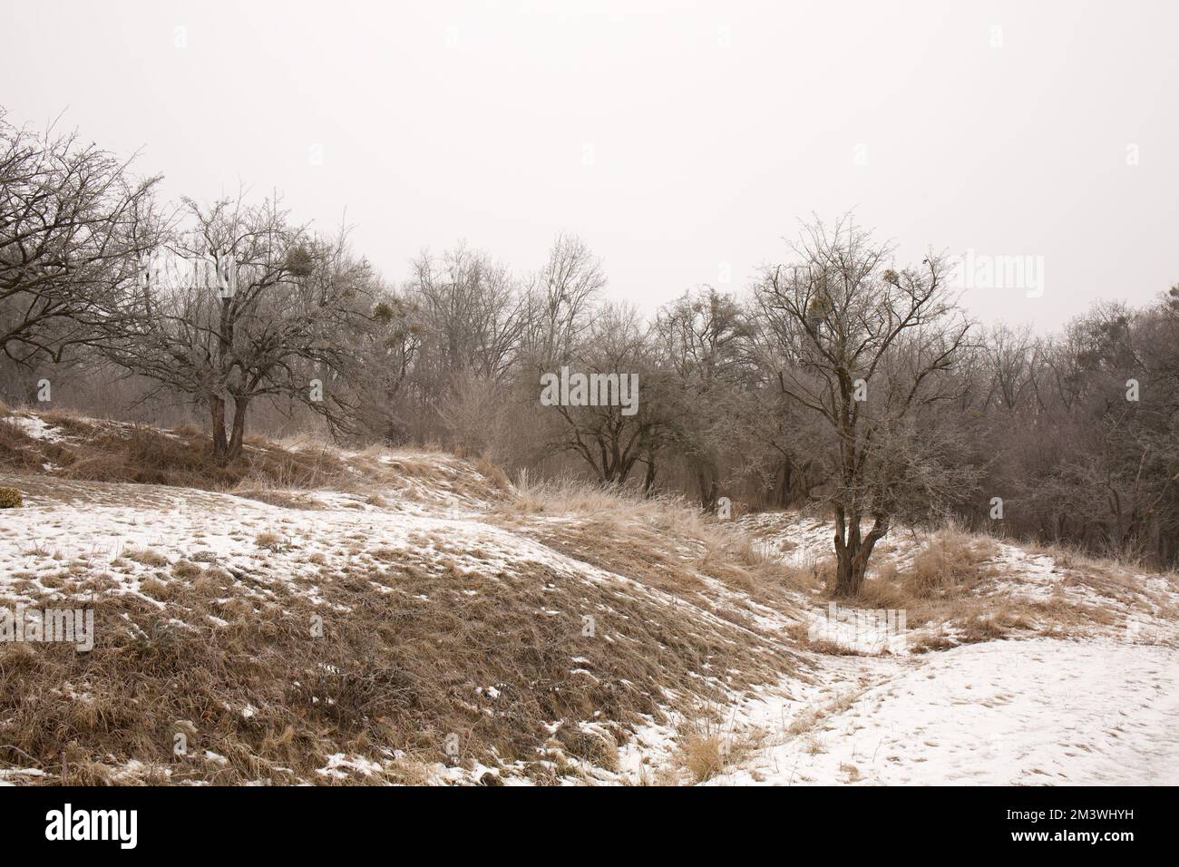 Geoplastics hi-res stock photography and images - Alamy