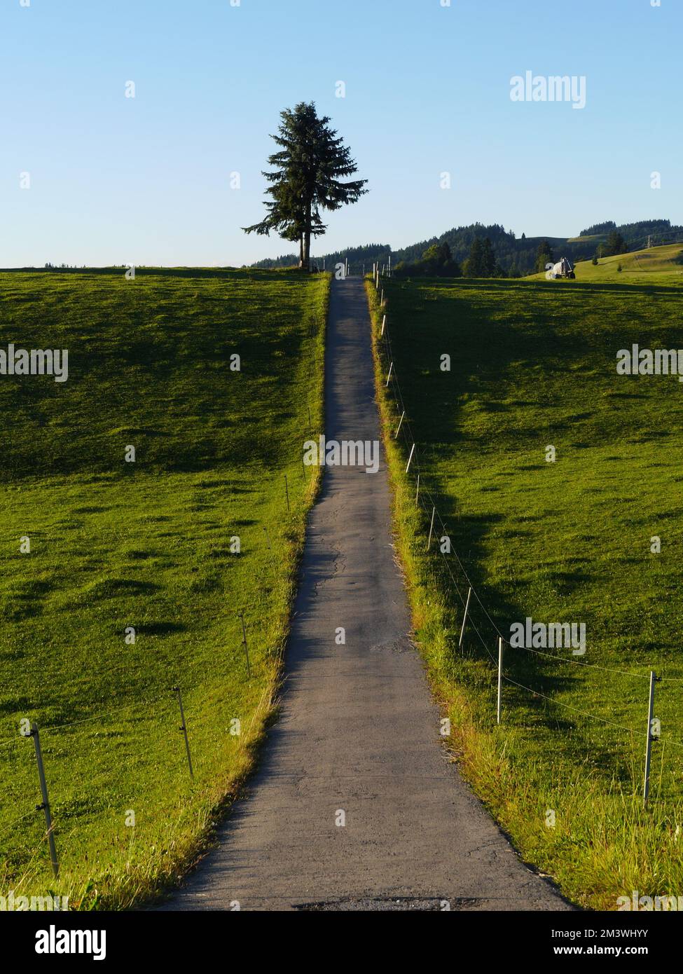 Lush fields hi-res stock photography and images - Alamy