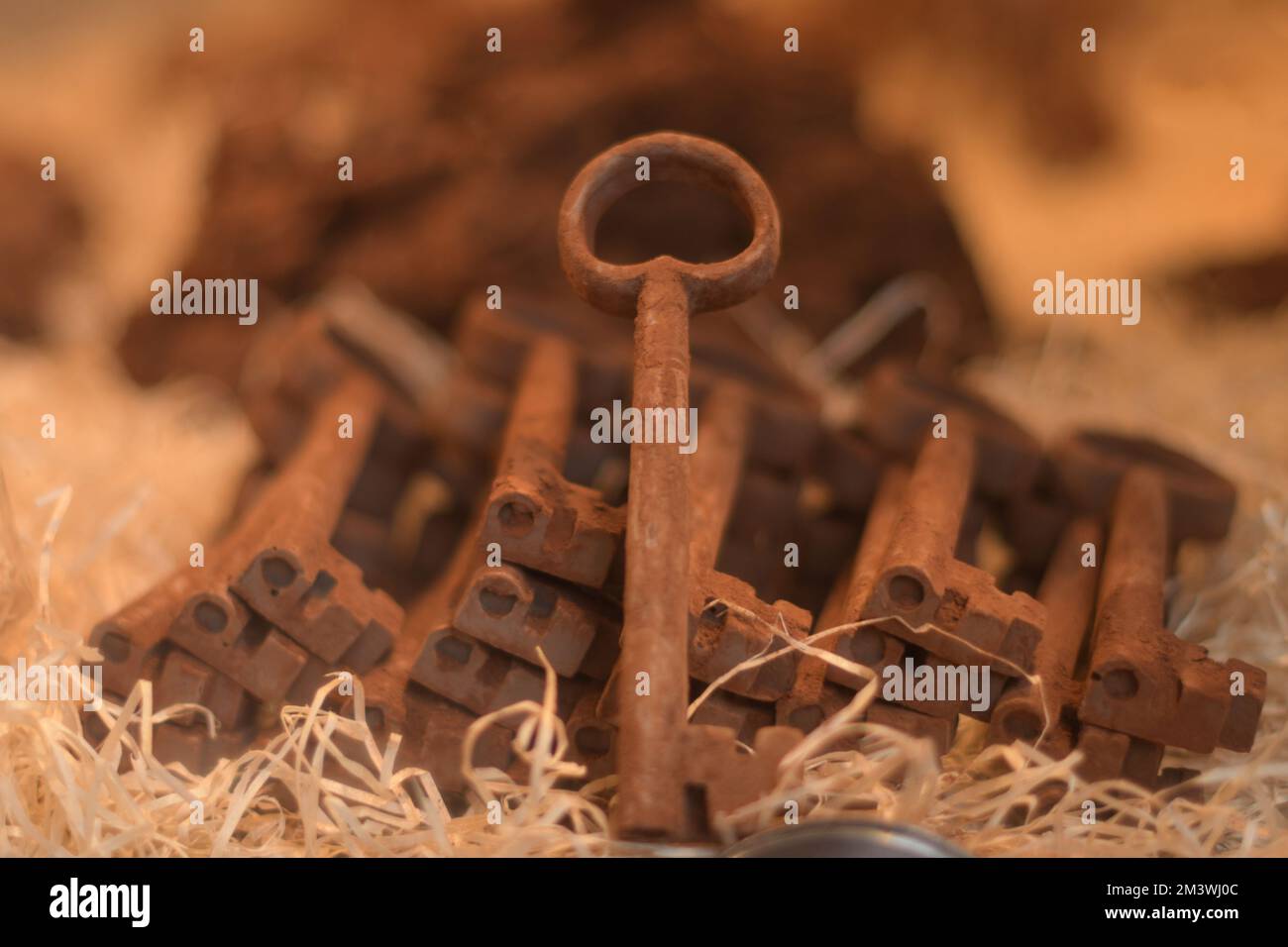 Unusual chocolate products. Chocolate in the shape of an old door key ...