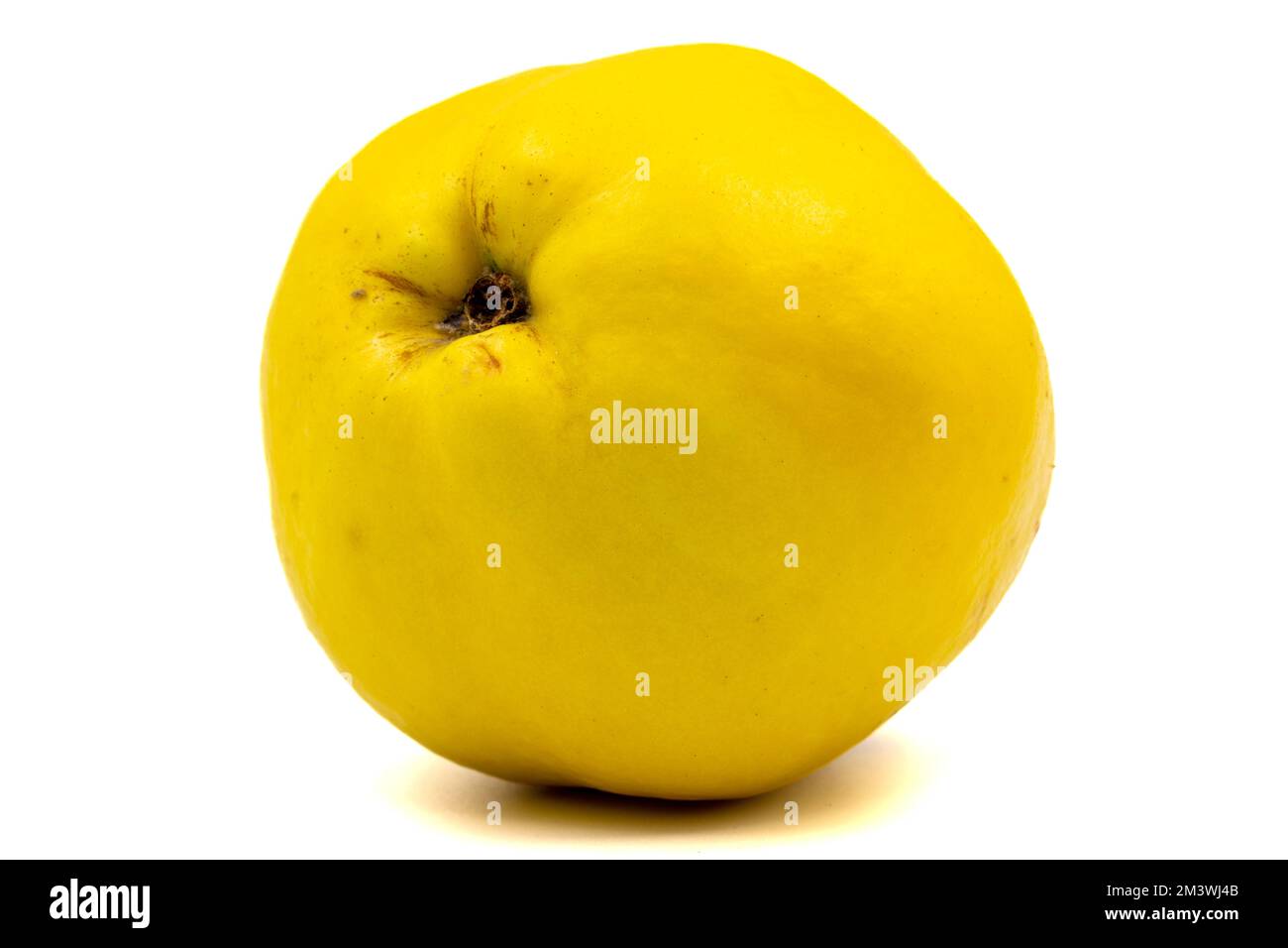 Quince isolated on a white background. Organic ripe quince. Clipping ...
