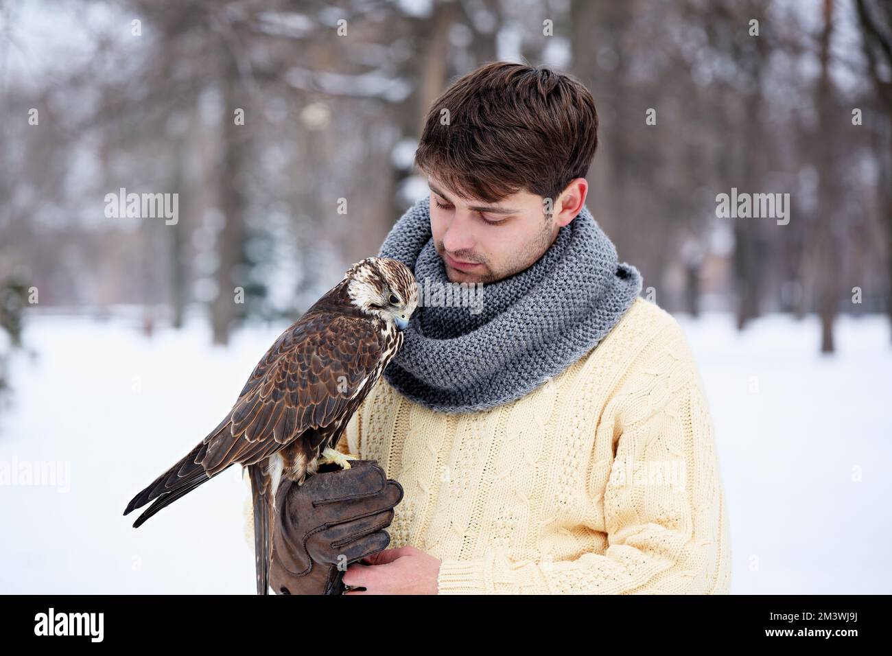 Falcon on human hand hi-res stock photography and images - Alamy