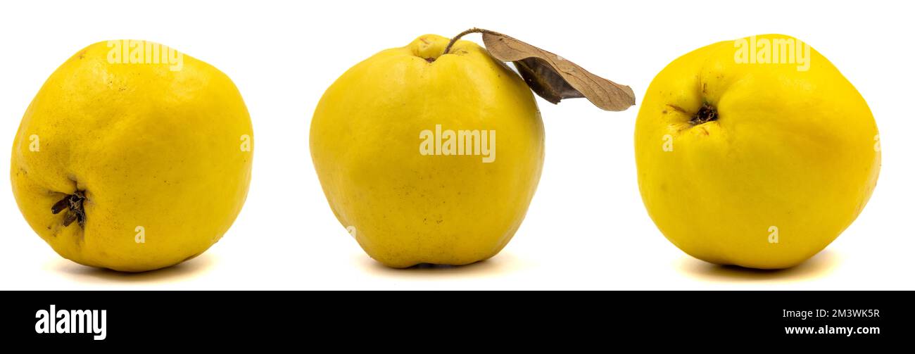 Set of quince images. Quince isolated on a white background. Clipping ...