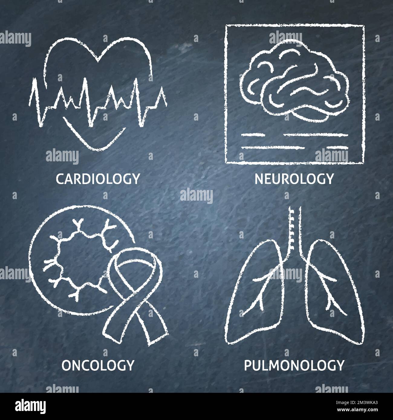 Medical specializations chalkboard icon set. Cardiology, neurology ...