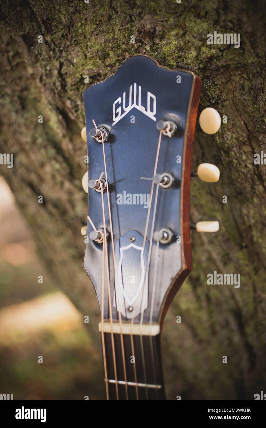 Old guild guitar hi-res stock photography and images - Alamy