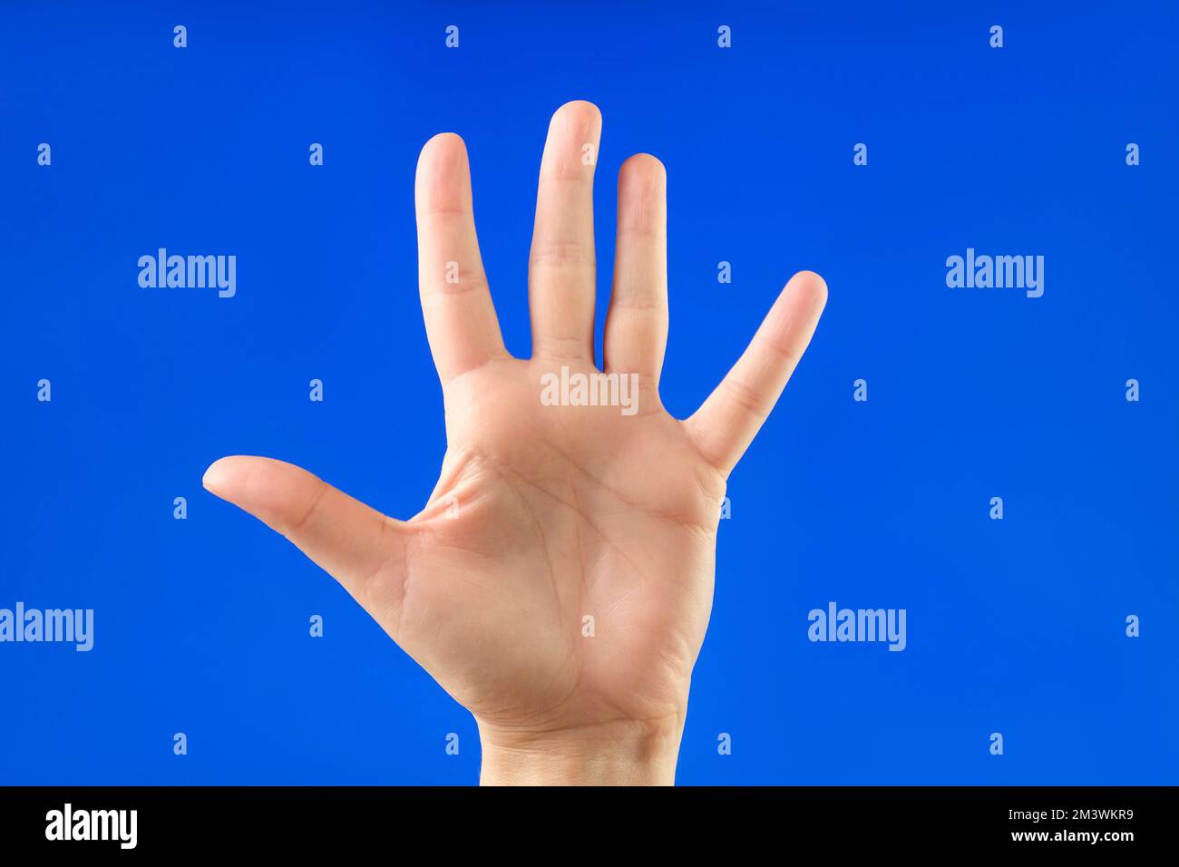 Female palm hand counting to five on a Chroma Key Studio Background ...
