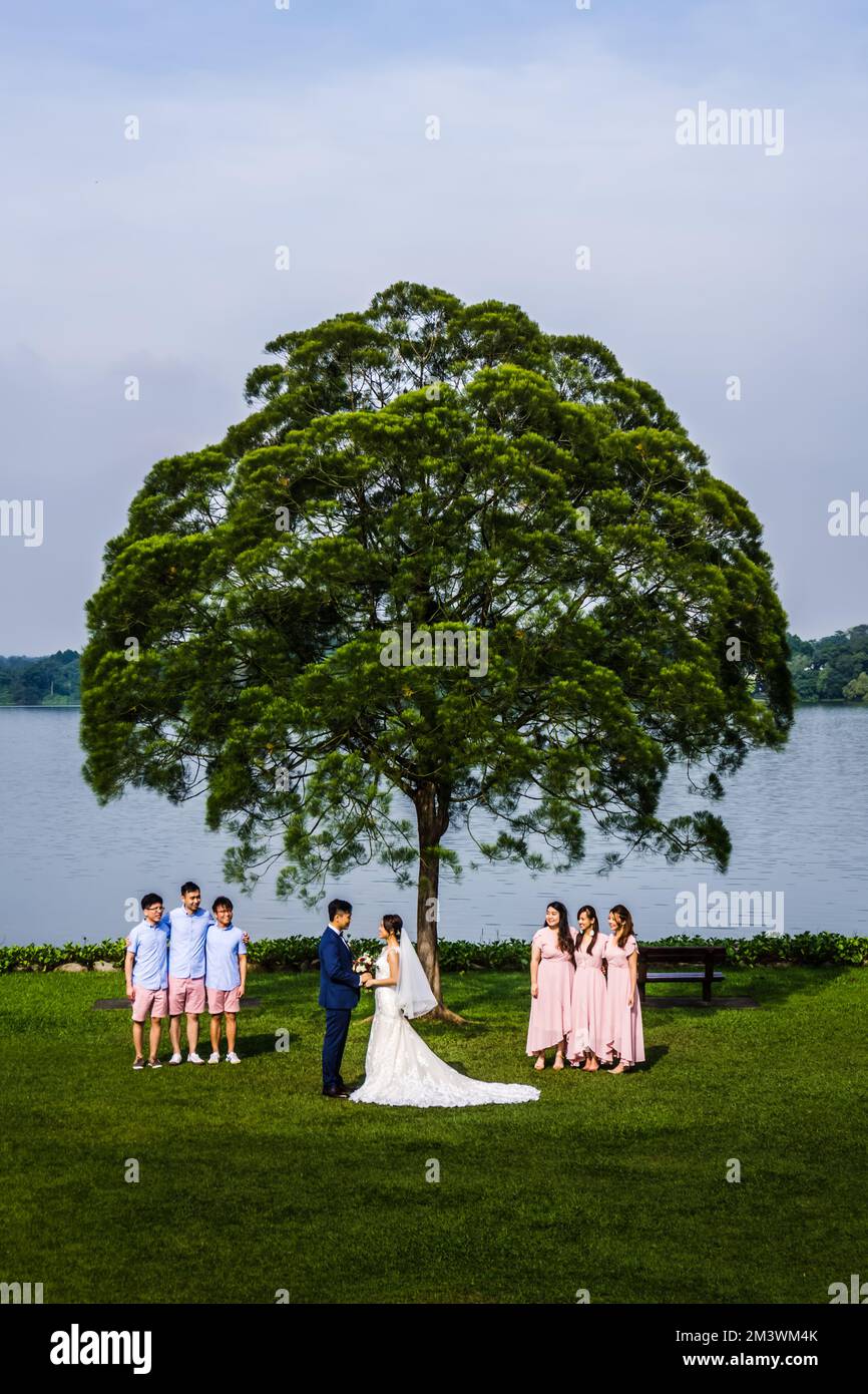 Upper Seletar Reservoir Park is a world filled with lush greenery and ...