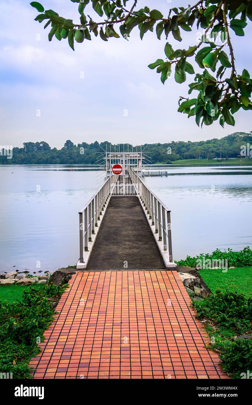 Upper Seletar Reservoir Park is a world filled with lush greenery and ...
