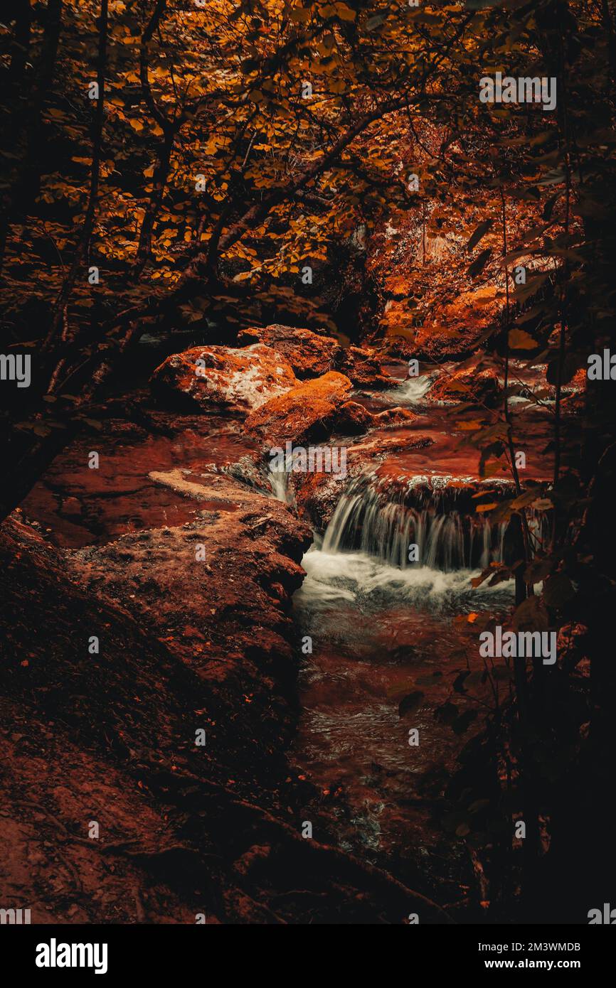 A vertical shot of a cascade flowing down the rocks in a forest in ...