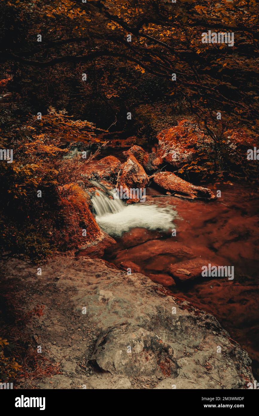 A vertical shot of a cascade flowing down the rocks in a forest in ...