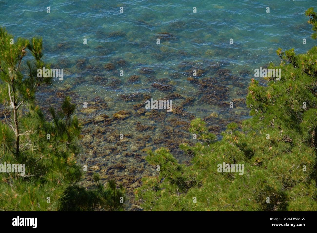 Empty underwater surface view hi-res stock photography and images - Alamy