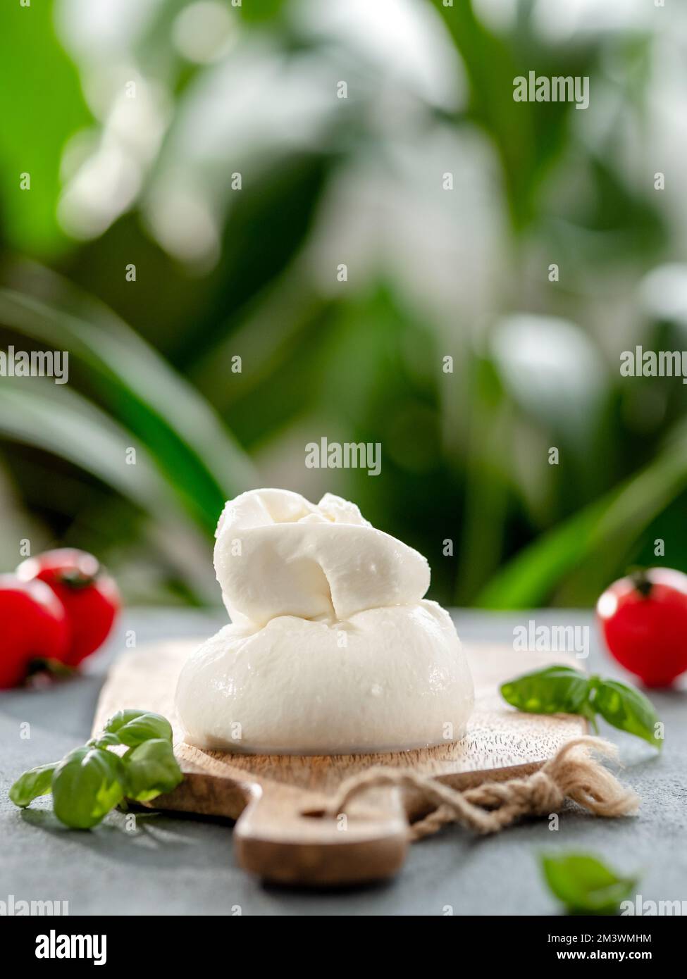 Fresh Italian cheese on wooden cutting board. White burrata or ...