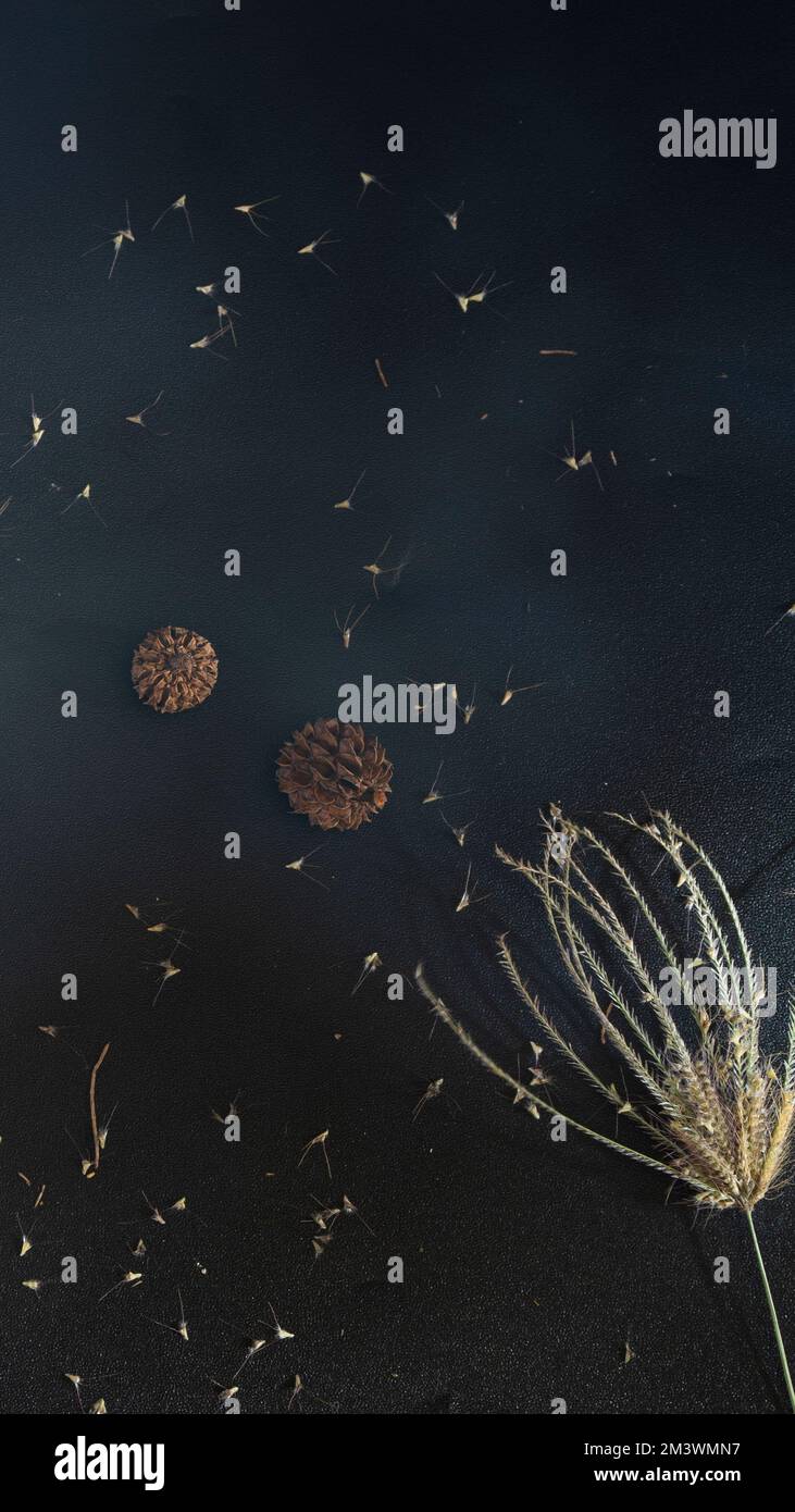 Ramadhan, Christmas and New Year greeting card concept on black ...