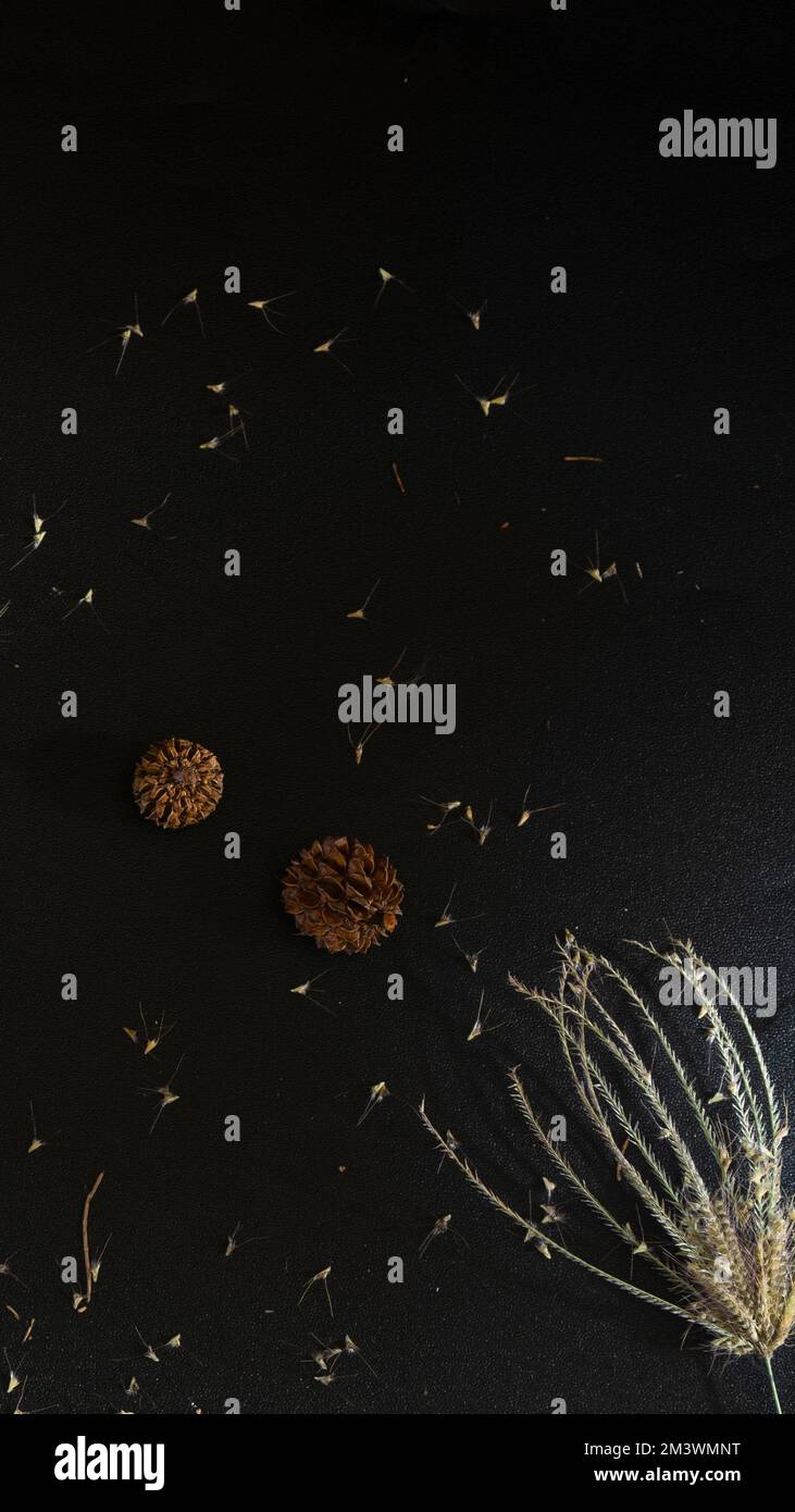 Ramadhan, Christmas and New Year greeting card concept on black ...