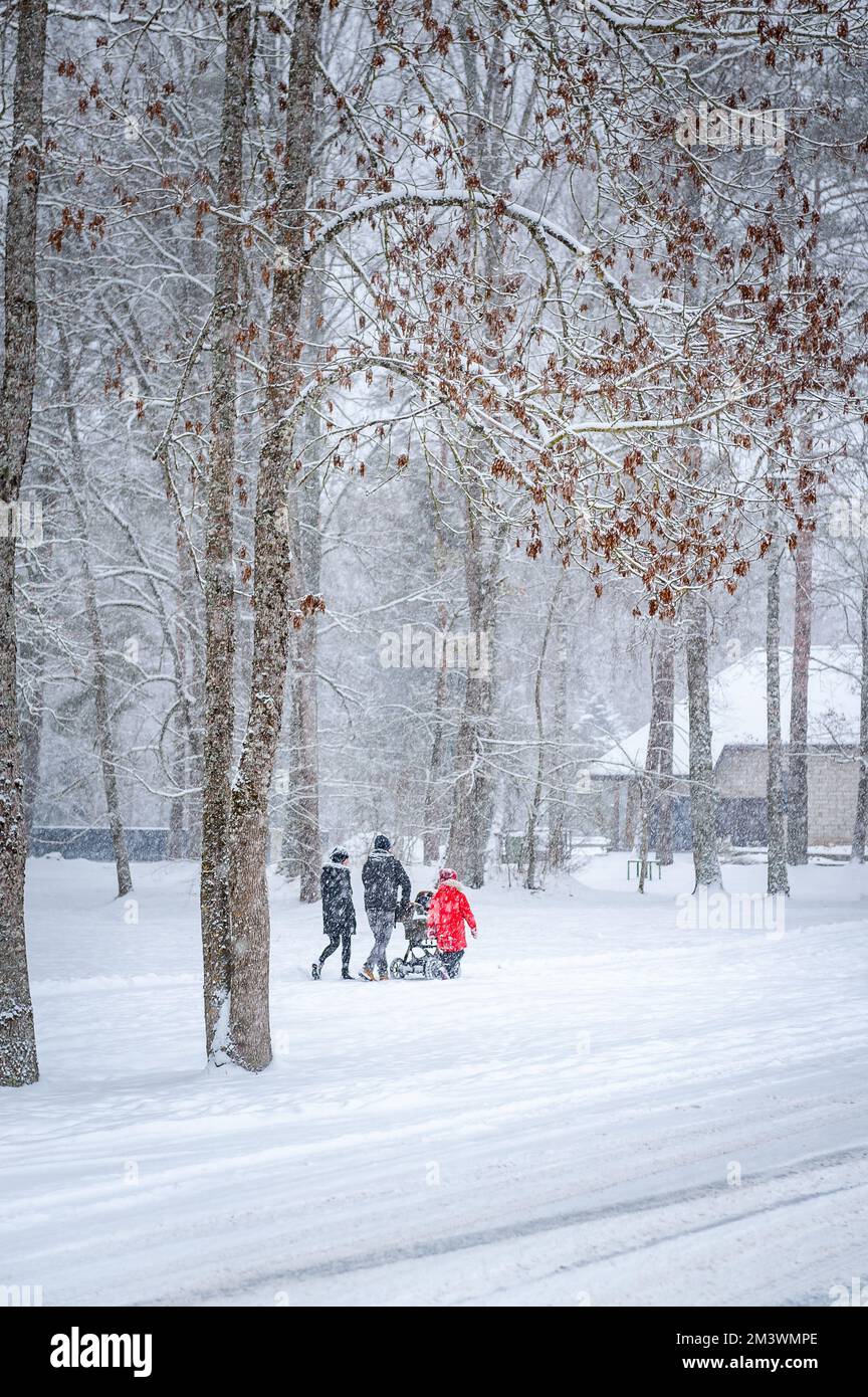 Family walking with small children in the park in winter. Snow ...