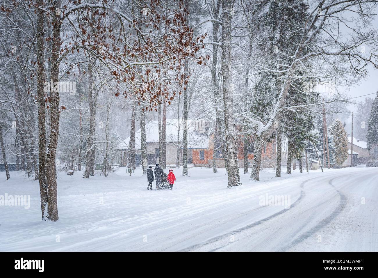 Family walking with small children in the park in winter. Snow ...