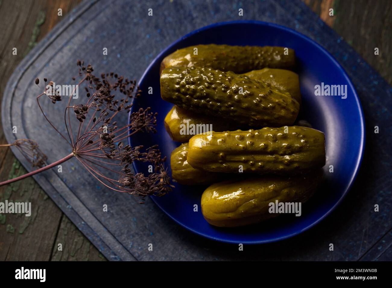 Small pickled cucumbers with a sprig of dill on a plate Stock Photo - Alamy