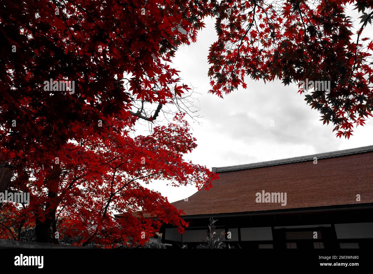 Cypress bark roof hi-res stock photography and images - Alamy