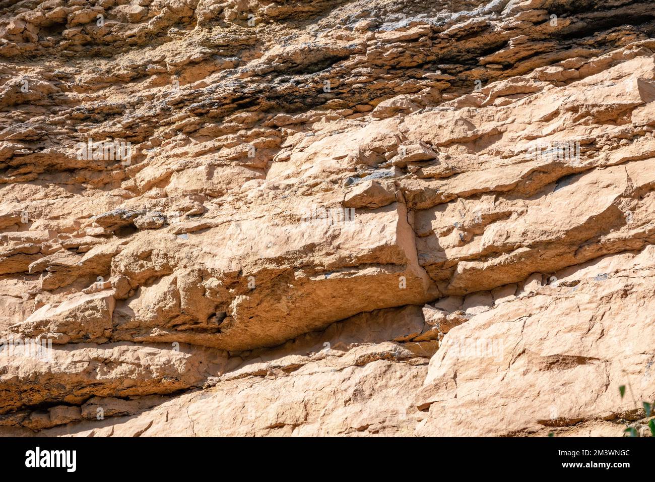 A closeup of the texture of a rugged cliff captured under sunlight ...