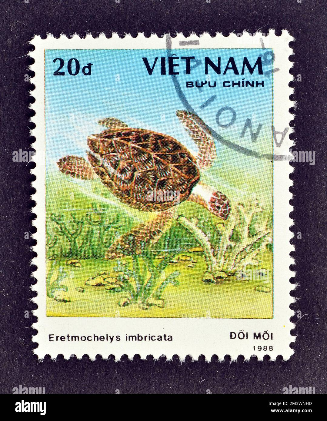 Cancelled postage stamp printed by Vietnam, that shows Hawksbill Turtle ...