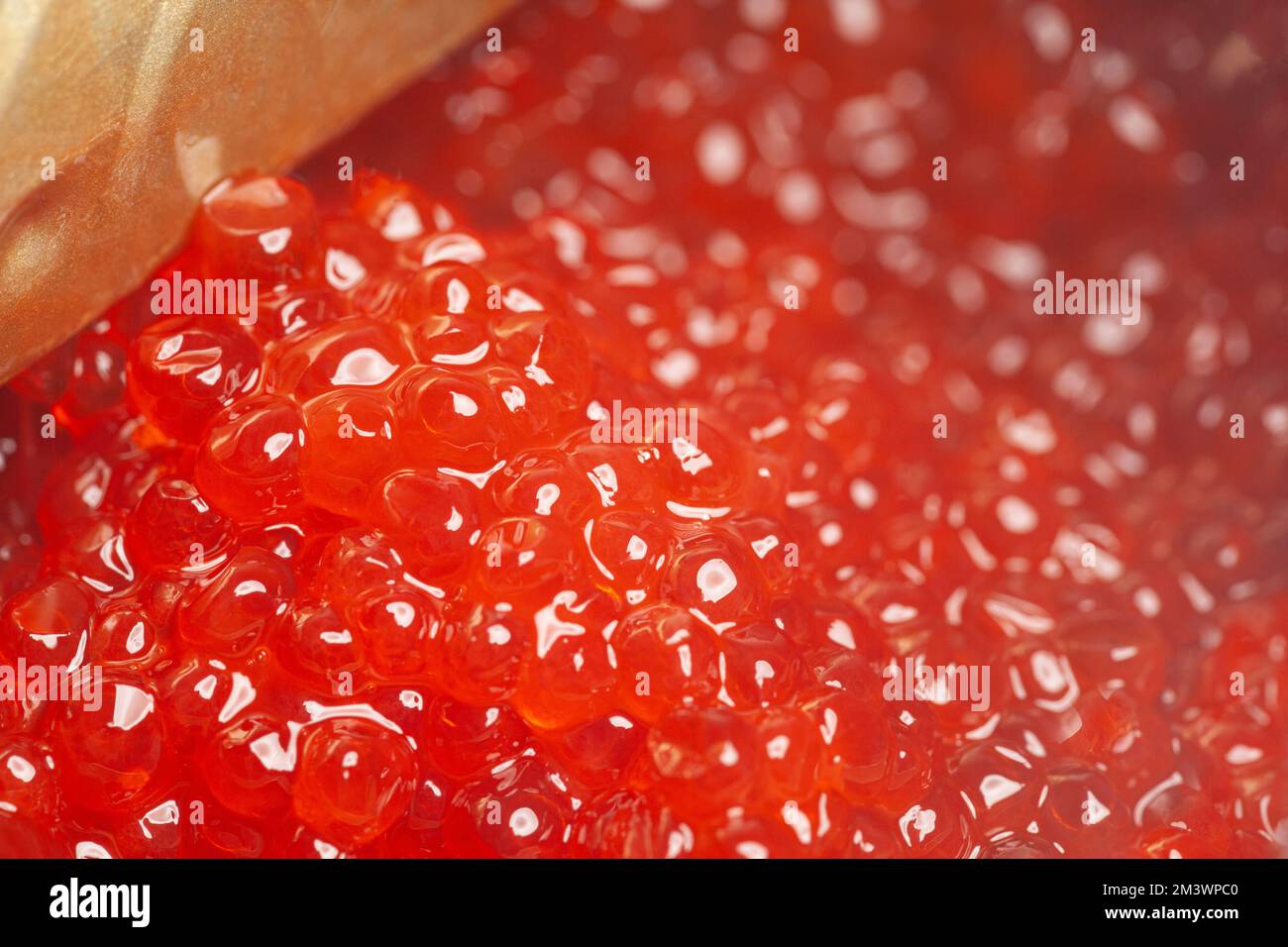 Background texture of salmon fish red caviar Stock Photo - Alamy