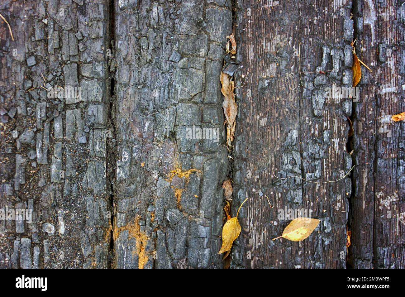 Smoking wood plank background. Burned wooden grunge texture Stock Photo ...