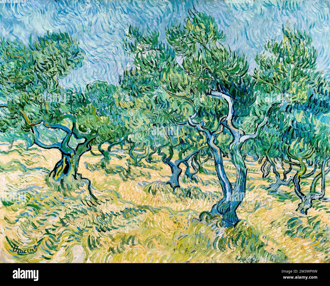 Vincent van Gogh, Olive Grove, landscape painting in oil on canvas ...