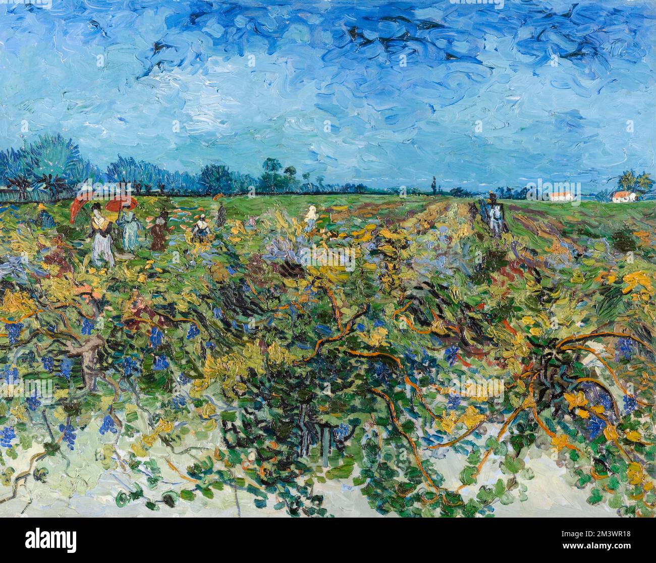 Vincent van Gogh, The Green Vineyard, landscape painting in oil on ...