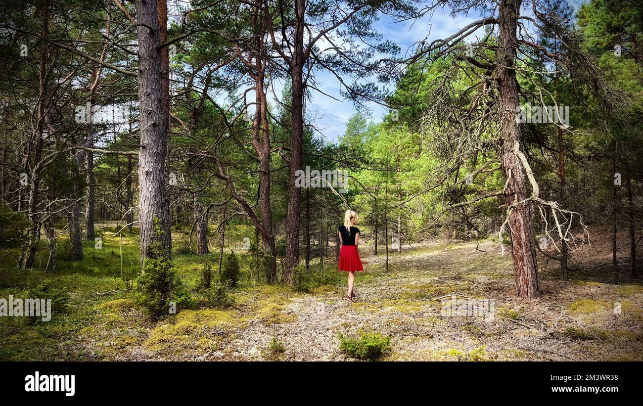 A woman from behind walking in the forest full of trees Stock Photo - Alamy
