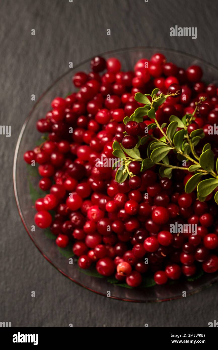 Delicious fresh lingonberry berries on a black stone board Stock Photo ...