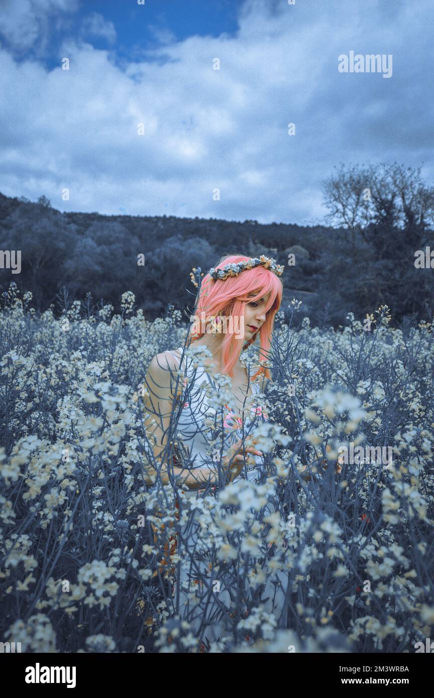 Girl in a fower field hi-res stock photography and images - Alamy