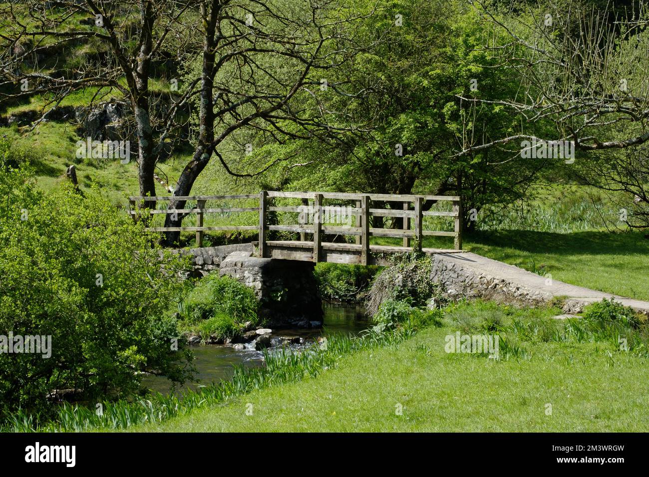 Bridge near the Dingle,Llangefni, Anglesey Stock Photo - Alamy
