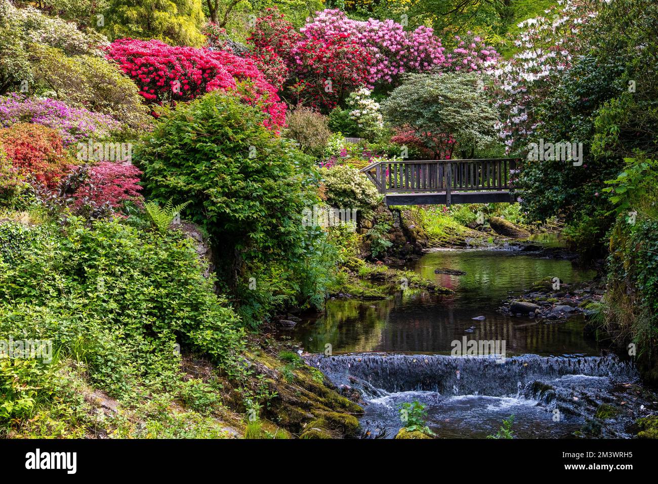 Bodnant Gardens