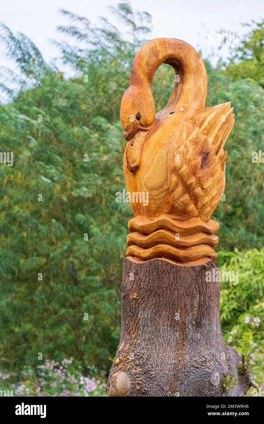 Carving of Swan, Wolverley, Kidderminster Stock Photo - Alamy