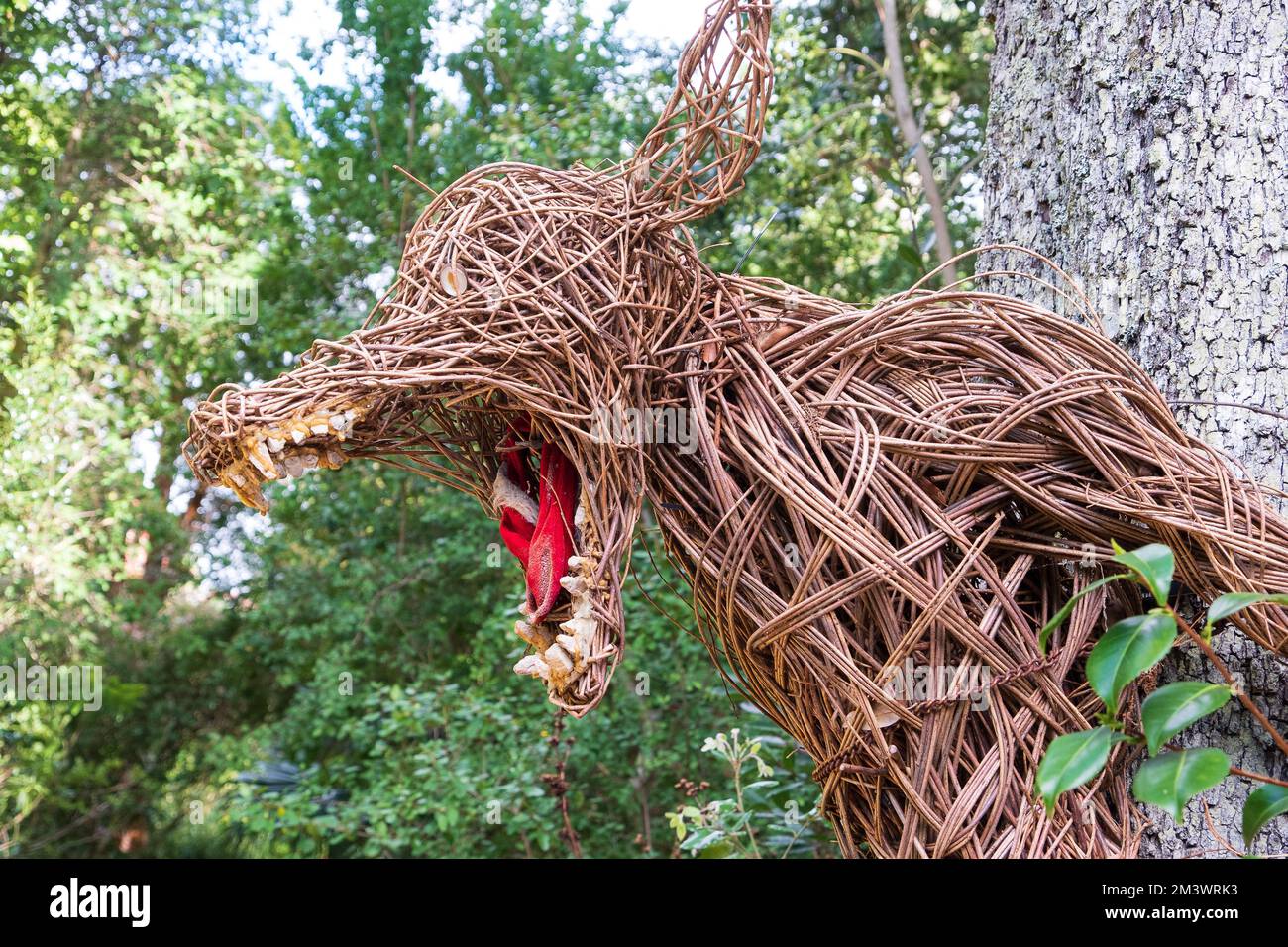 Willow Head Wolf at Sub Tropical Gardens Abbotsbury Stock Photo - Alamy