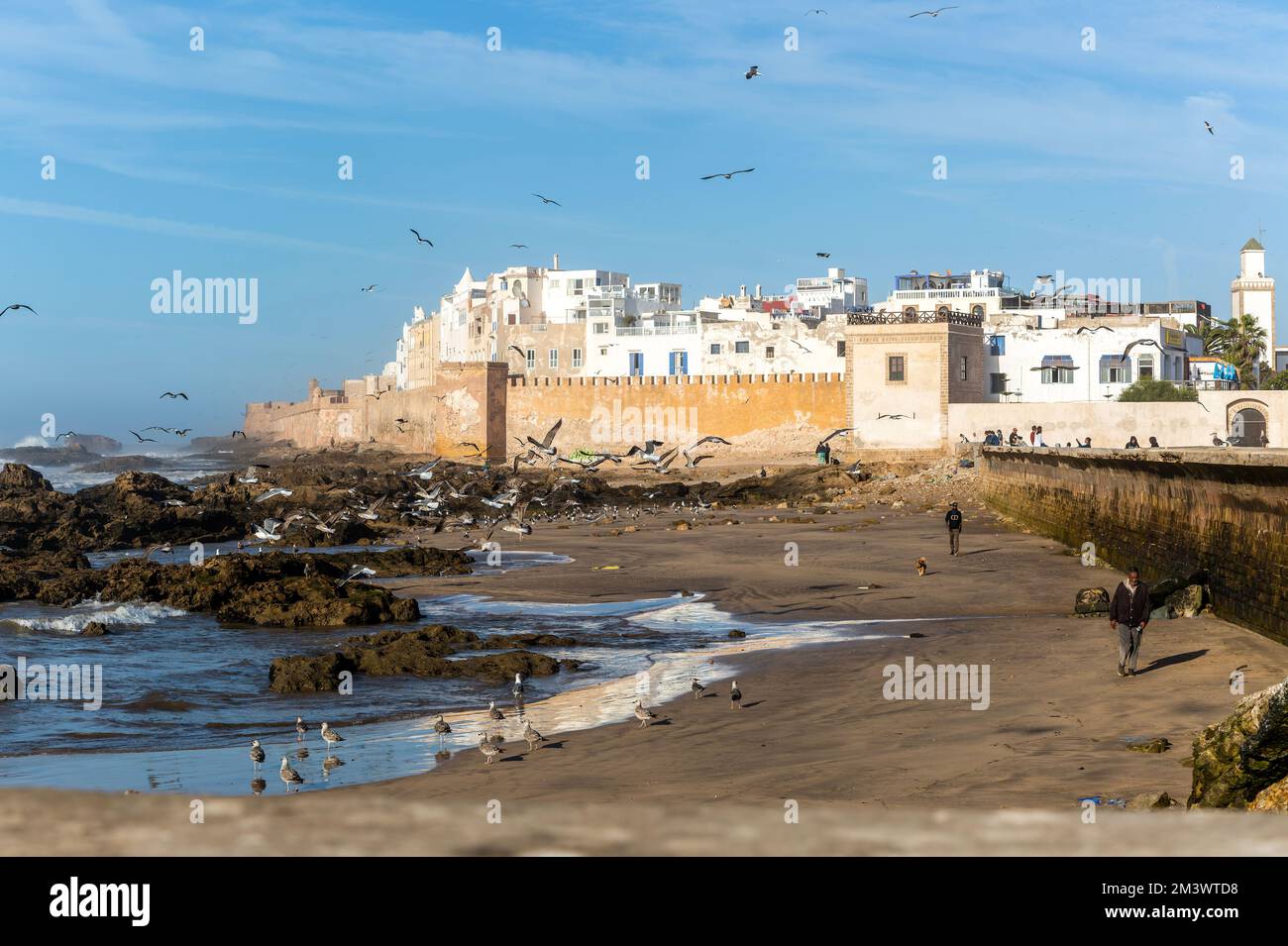 Walled town Medina from the coast, Essaouira, Morocco, north Africa ...
