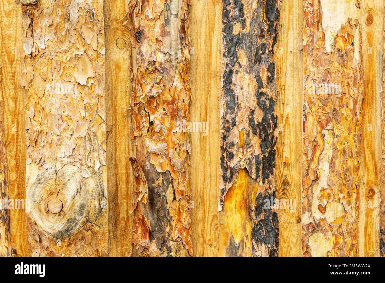 Brown abstract background. Vintage Wooden Dark Vertical Boards Stock ...