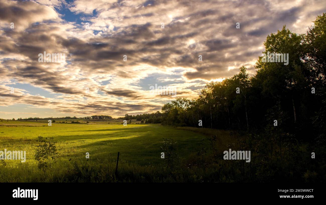A landscape view with an early morning sun at Emily Provincial Park ...