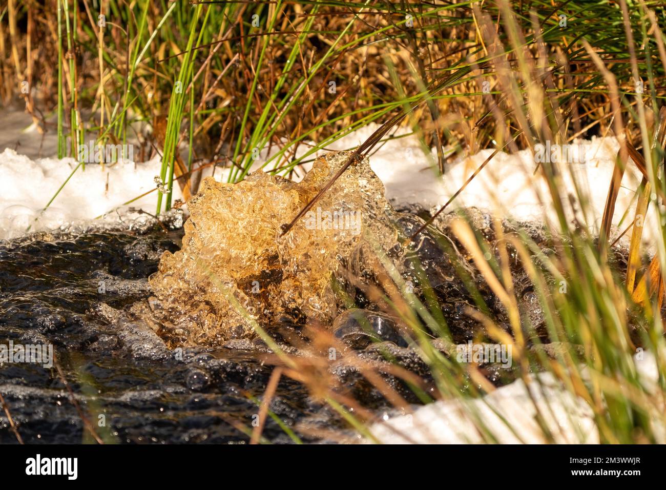 Close-up of a water source that blows up bubbling water. Spring, snow ...