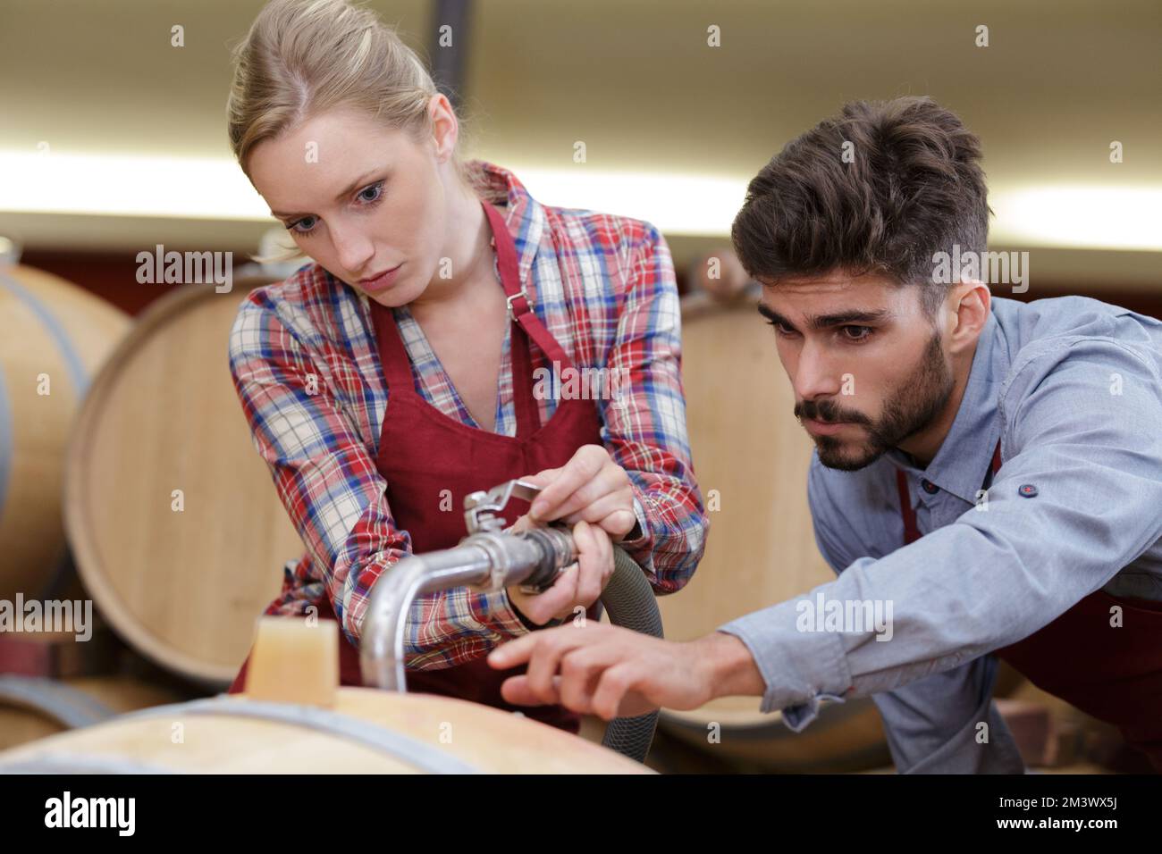 workers standing indoors on small wine manufacturing Stock Photo - Alamy
