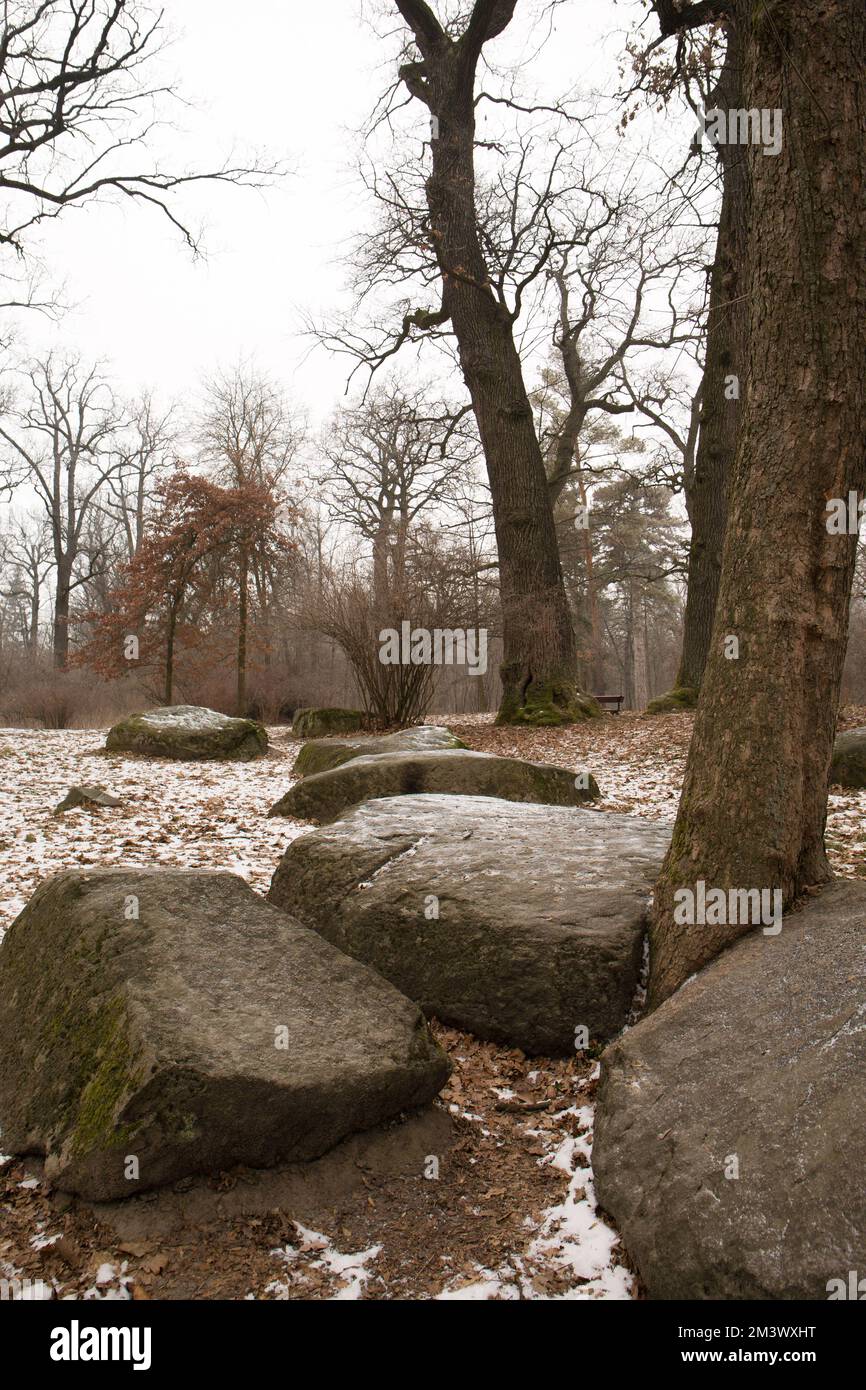 Beautiful winter landscape with large boulders in the park Stock Photo ...